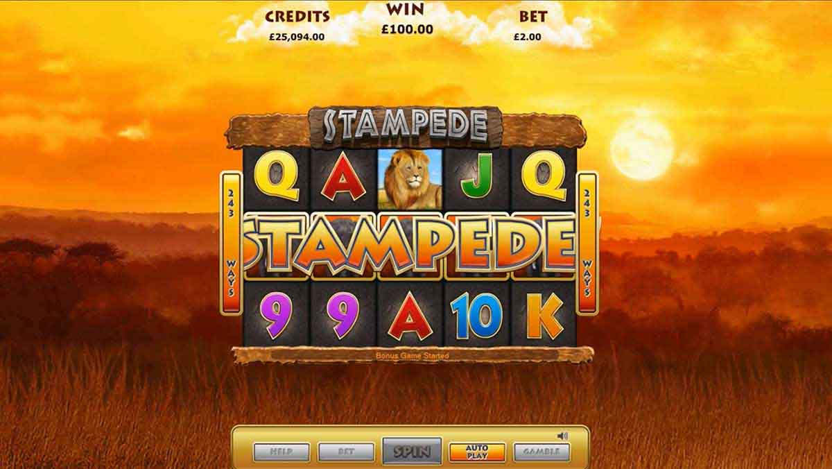Stampede | Eyecon Limited
